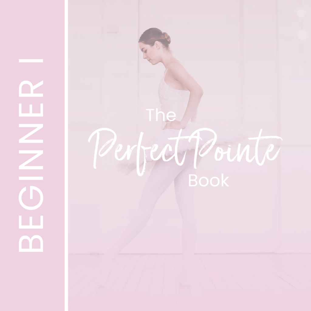The Perfect Pointe Book – The Ballet Blog