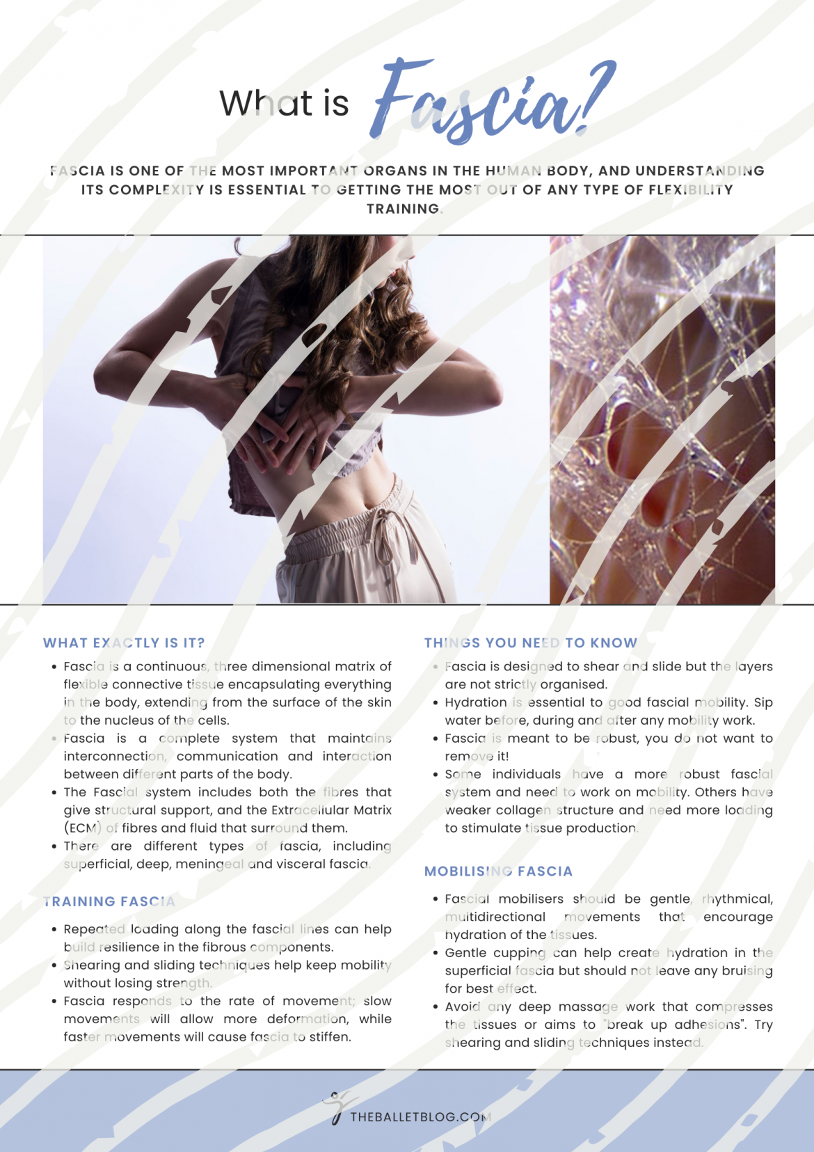 What is Fascia? – The Ballet Blog