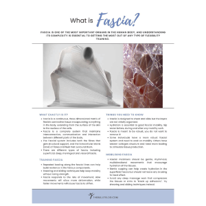 What is Fascia? – Version 2 (The Flexibility Series) – The Ballet Blog