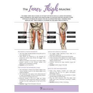 The Inner Thigh Muscles (The Hip Series) – The Ballet Blog