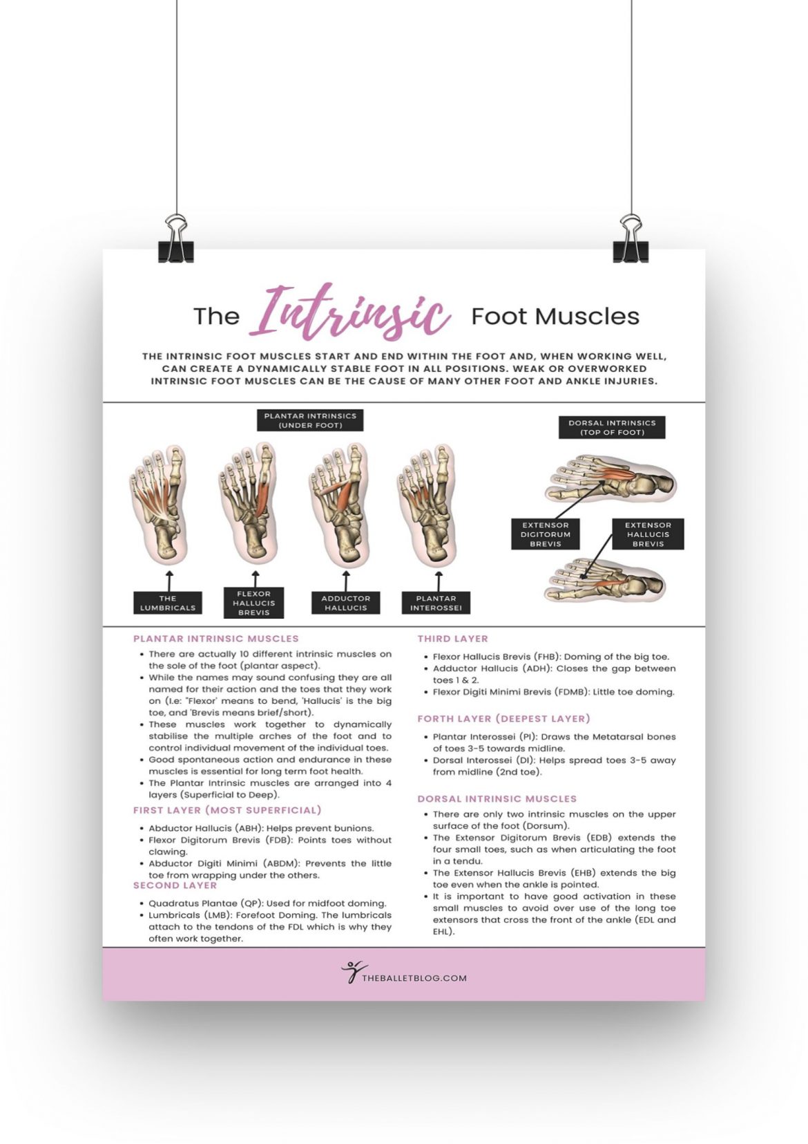 The Foot & Ankle Series (Australia) – The Ballet Blog