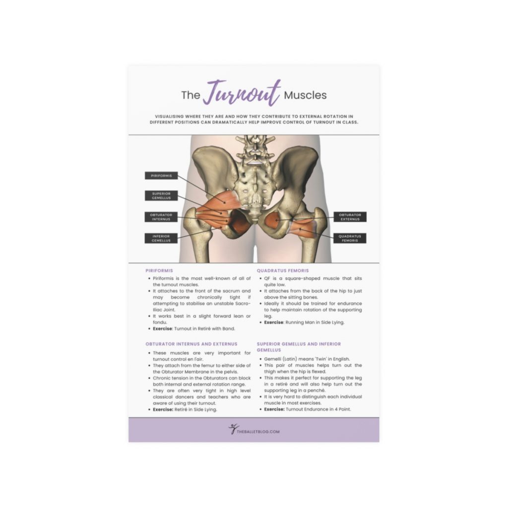 The Turnout Muscles (The Hip Series) – The Ballet Blog