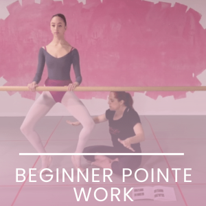 Level 2 – The Perfect Pointe System – Self-Guided Option – The Ballet Blog